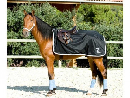 horzeウェザートレック・ライディングシート - 馬具・乗馬用品のサジタリアス